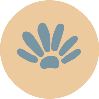 Property Management - Santa Rosa Beach Vacation Rental